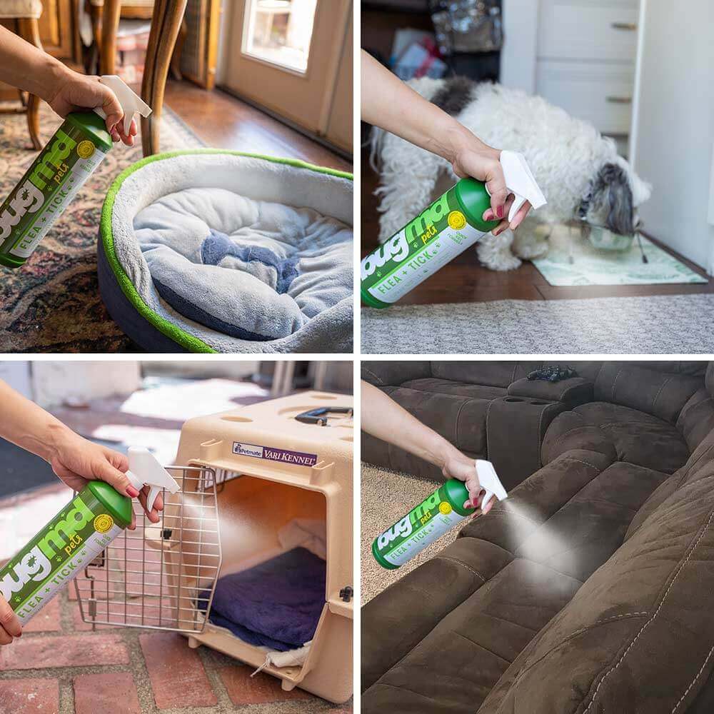 BugMD: Flea + Tick Concentrate