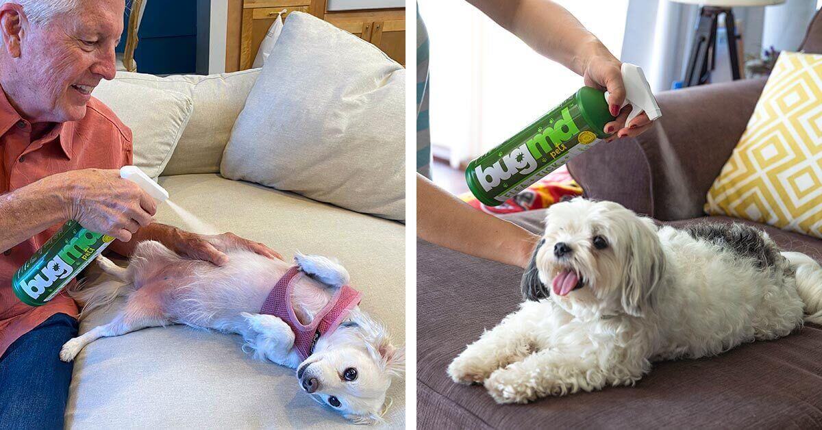 BugMD: Flea + Tick Concentrate